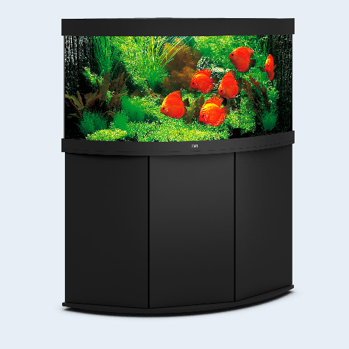 Trigon 350 LEDs | Aquariums at Lynwoods | Surrey KT6 7LS | UK