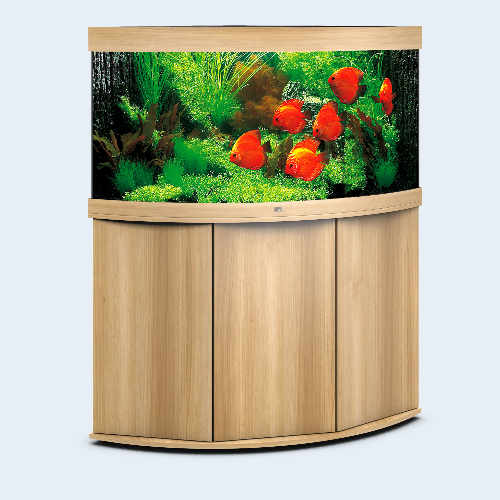 Trigon 350 LEDs | Aquariums at Lynwoods | Surrey KT6 7LS | UK
