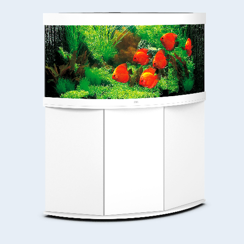 Trigon 350 LEDs | Aquariums at Lynwoods | Surrey KT6 7LS | UK